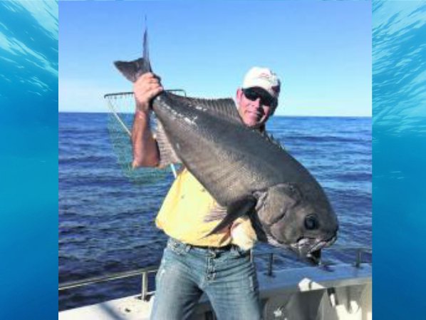 Blue Eye - Sydney Premium Charters