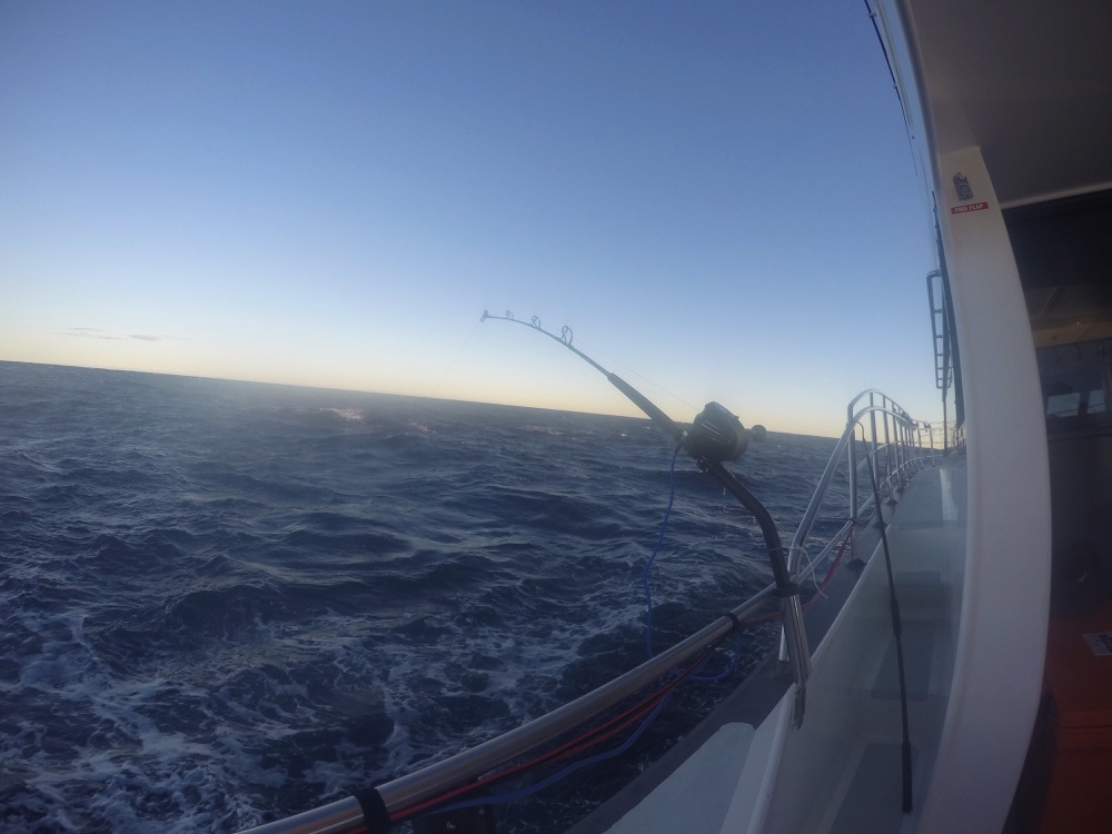 Blue Eye - Sydney Premium Charters