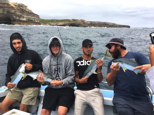Rat Kingfish Big King fish and summer - Sydney Premium Charters