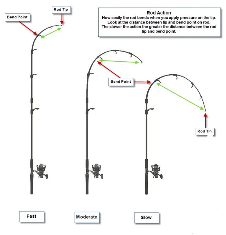 Fishing and Tackle Terminolgy Australia| Common Fishing Terms