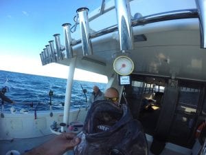 30kg Blue Eye Cod Browns Mountain Sydney | Fishing Charters