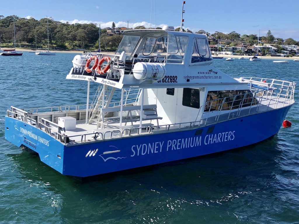 Deep Sea Charters (Nov-April) and Whale Watchiung Tours (June-Oct)...