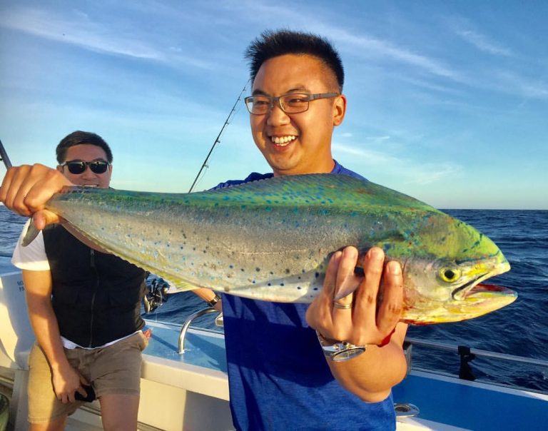 How To Catch Mahi Mahi - Sydney Premium Charters
