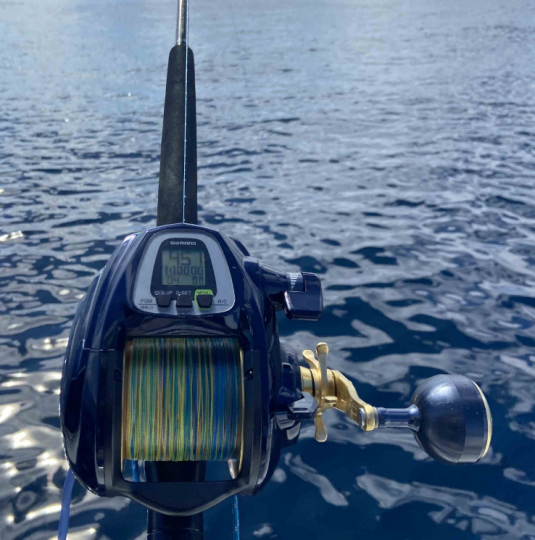 Shimano Electric Fishing Reels At Browns Mountain