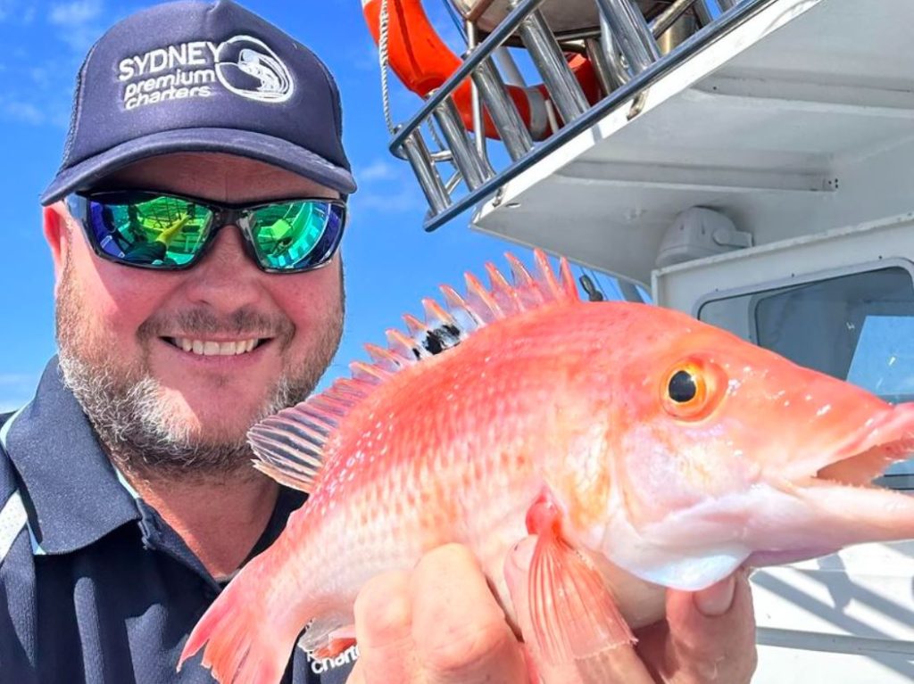 Pigfish Fishing and Cooking
